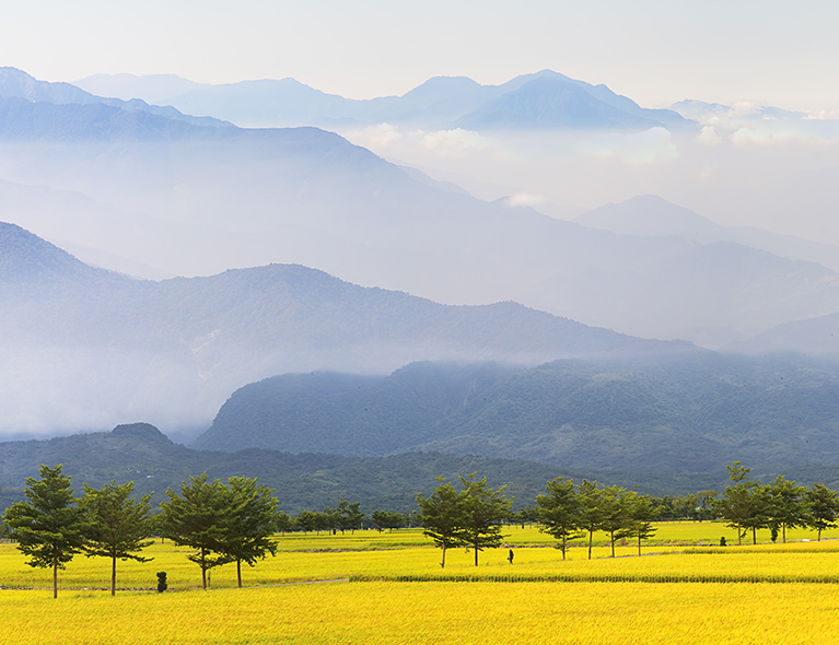 關於築禾 | 築禾建設